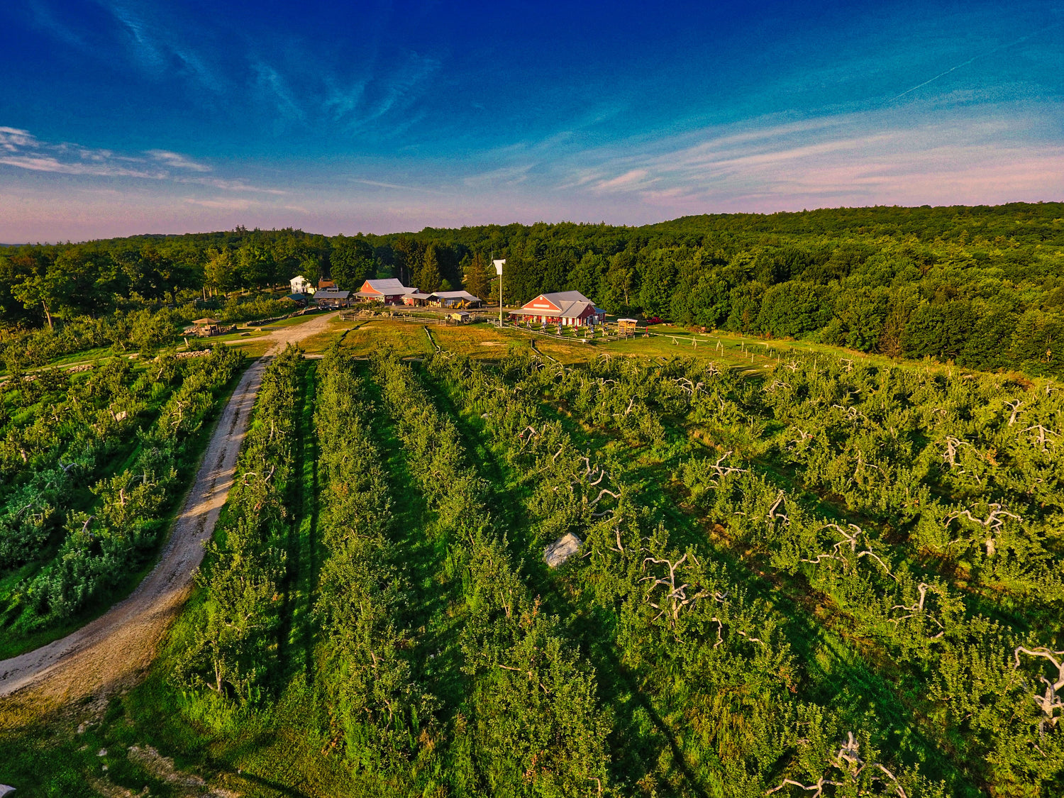 Red Apple Farm Online Market